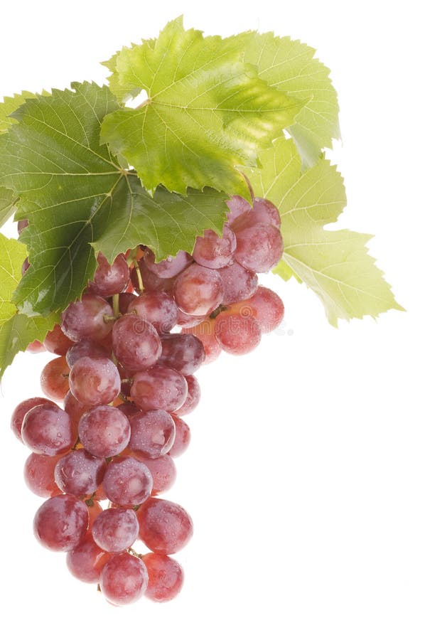 Grape food over white stock image. Image of studio, healthy - 6602967