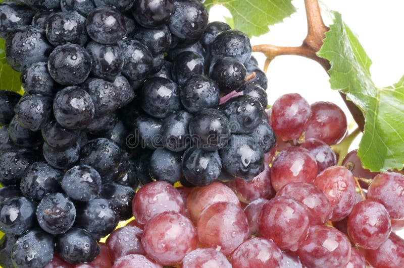 Grape food over white stock photo. Image of color, nutrient - 7131644