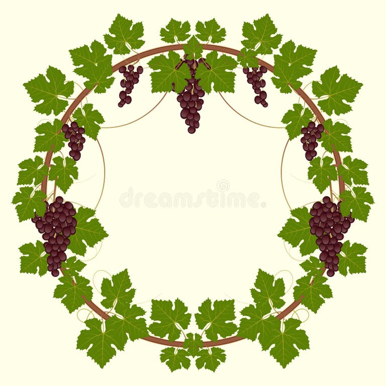 Grape Vine Circle Frame Stock Illustrations – 337 Grape Vine Circle ...