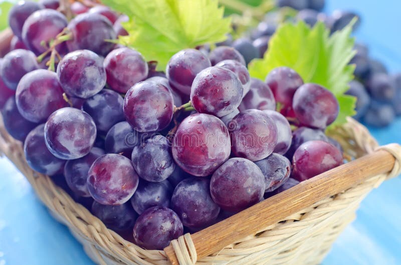 Grape stock image. Image of bunch, natural, brown, agriculture - 36163869