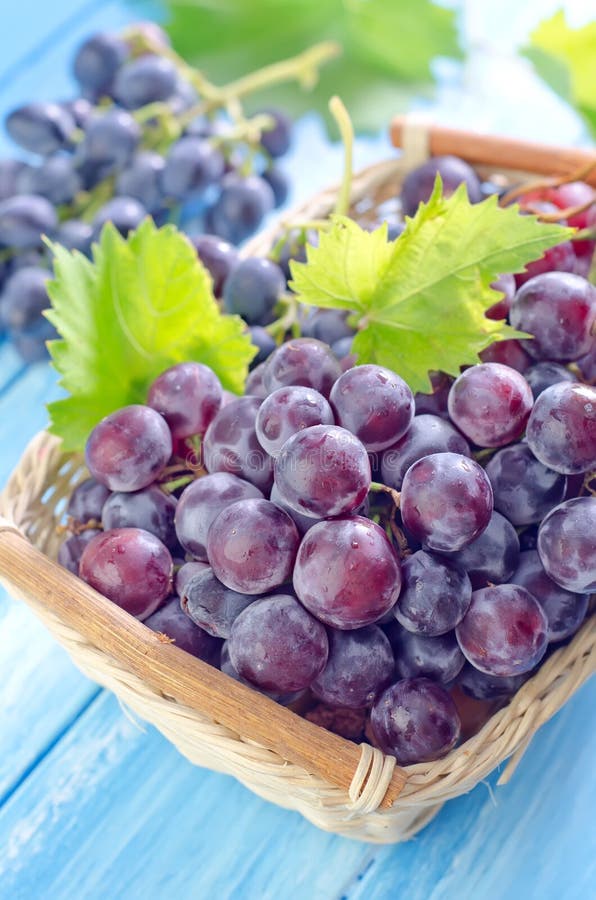 Grape stock photo. Image of grapes, farming, branch, eating - 36163932