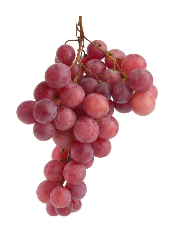 Grape fruit stock image. Image of natural, october, nutrition - 15955645