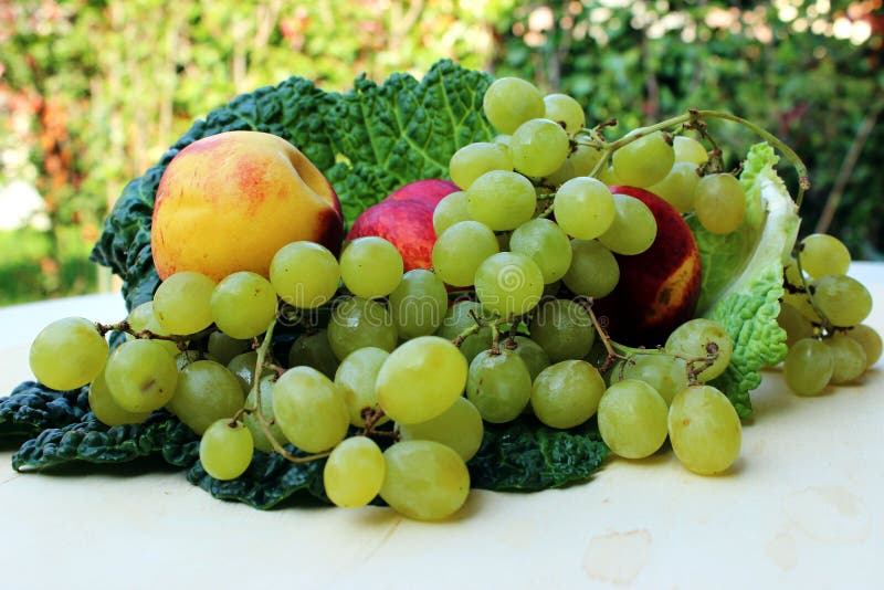 Grape fruit stock photo. Image of grapes, fruit, white - 29401464