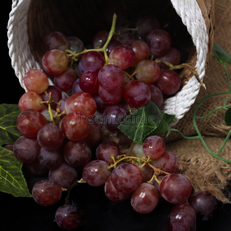A Grape is a Fruit, Botanically a Berry, Stock Photo - Image of bunch ...