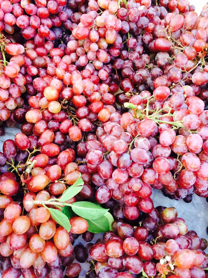 Grape fruit stock photo. Image of fruit, sell, fresh - 61378382