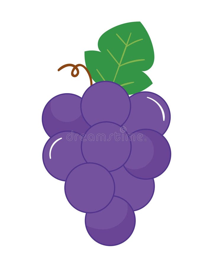 Grape fruit icon stock vector. Illustration of diet - 357586576
