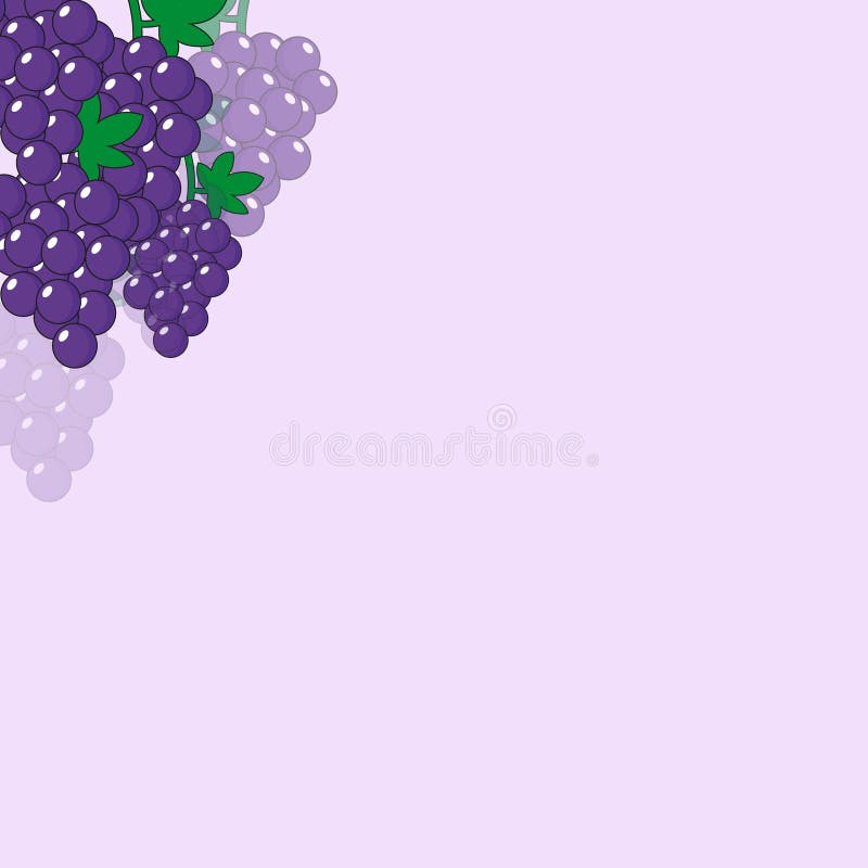 Grape Fruit Vector Illustration for Summer Greeting Card Background ...