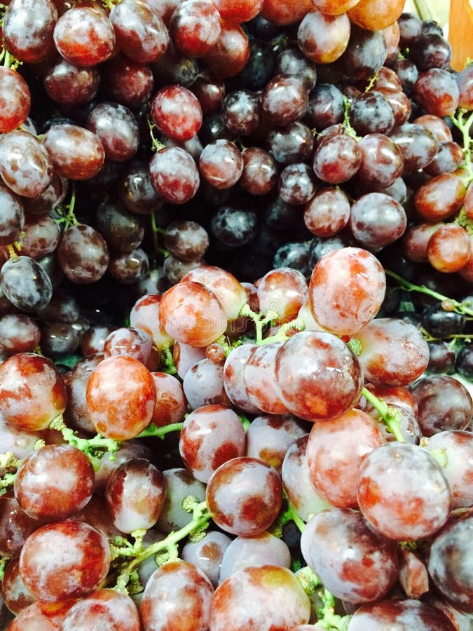 Grape fruits stock image. Image of fruit, fruits, cuisine - 62087203