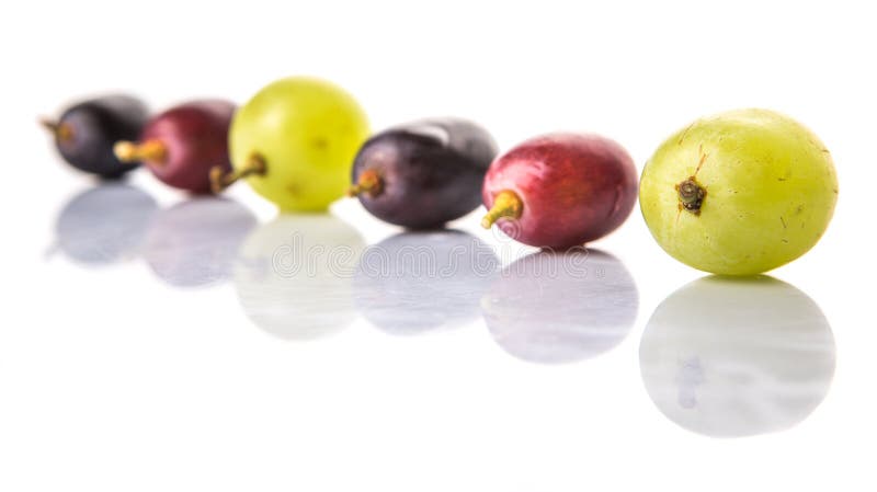 Grape Fruits VI stock image. Image of branch, tasty, fruit - 55972641
