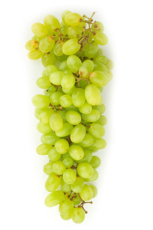 Grape Green Isolated on White Background Stock Photo - Image of fruit ...