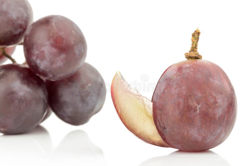 4,337 Grape Half Photos - Free & Royalty-Free Stock Photos from Dreamstime