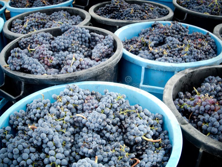 763 Harvesting Containers Stock Photos - Free & Royalty-Free Stock ...