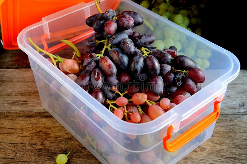 Bunches of Grapes Folded in a Plastic Food Box. Stock Image - Image of ...