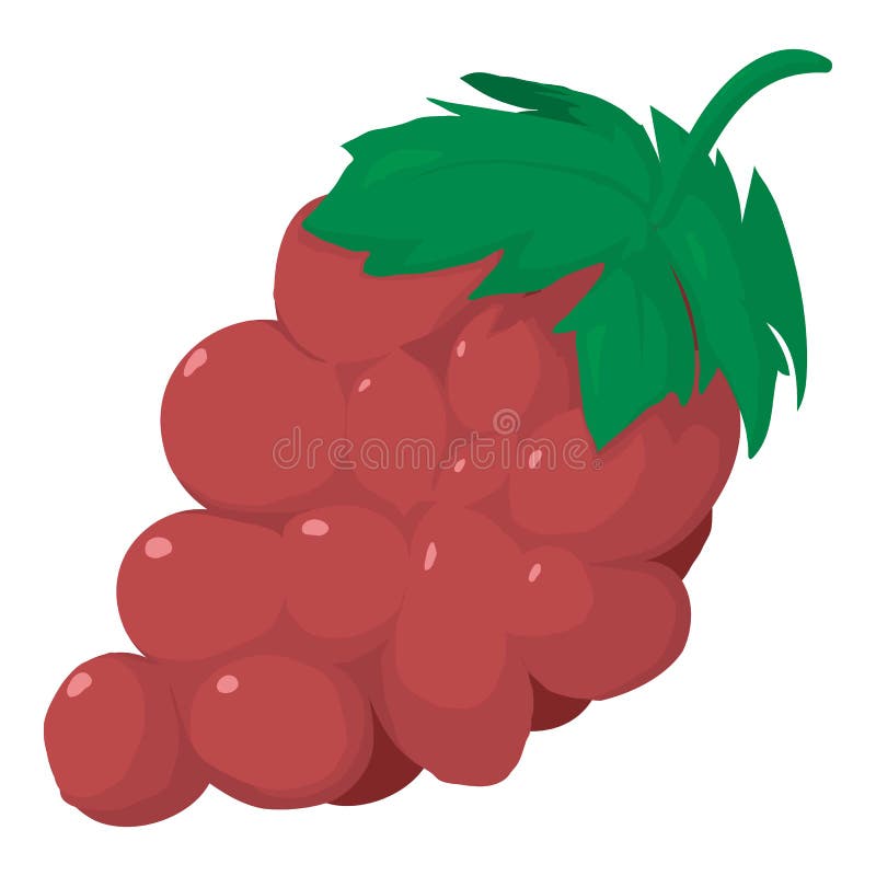 Grape icon, cartoon style stock vector. Illustration of agriculture ...