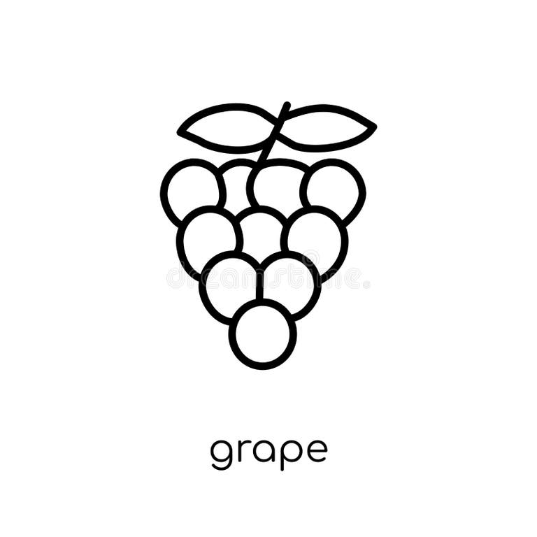 Grape Outline Stock Illustrations – 19,598 Grape Outline Stock ...