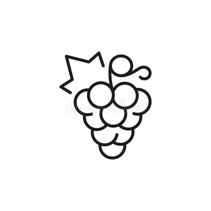 Grape icon stock vector. Illustration of orchard, grocery - 320486142
