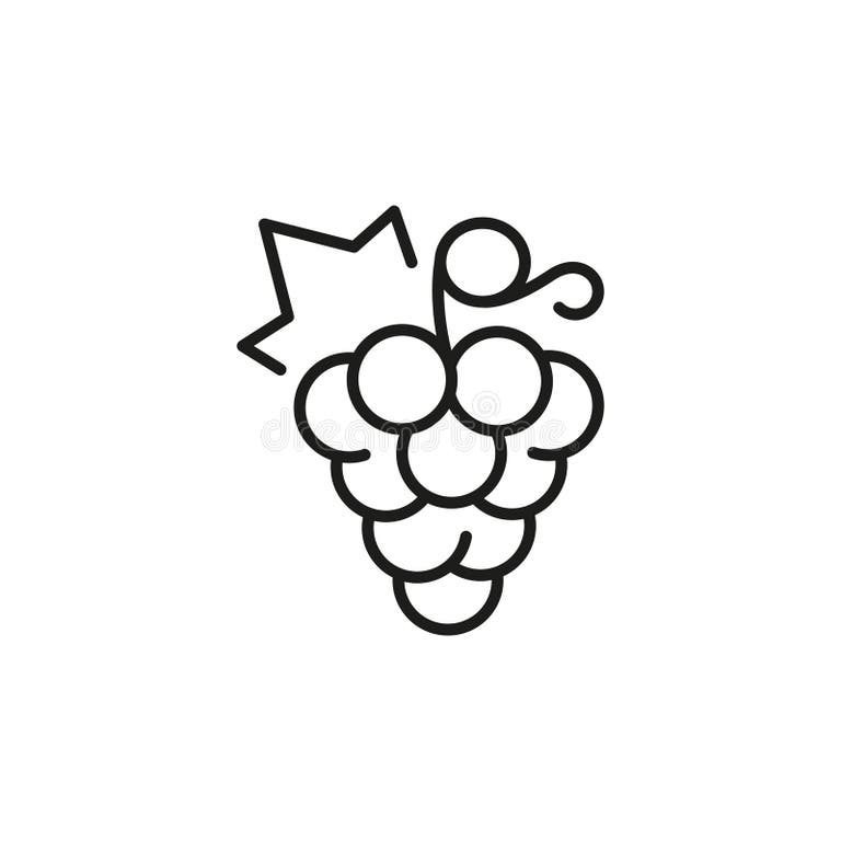 Grape icon stock vector. Illustration of orchard, grocery - 320486142