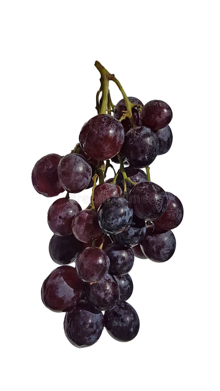 350 Black Grape Icon Stock Photos - Free & Royalty-Free Stock Photos ...