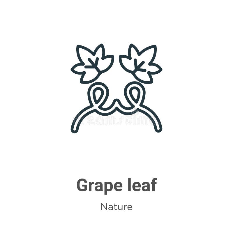 Grape Leaf Icon in Filled, Thin Line, Outline and Stroke Style. Vector ...