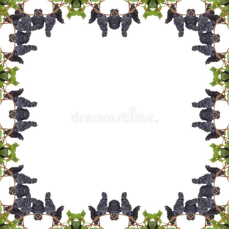 Grape with leaves frame stock photo. Image of decorative - 57552076