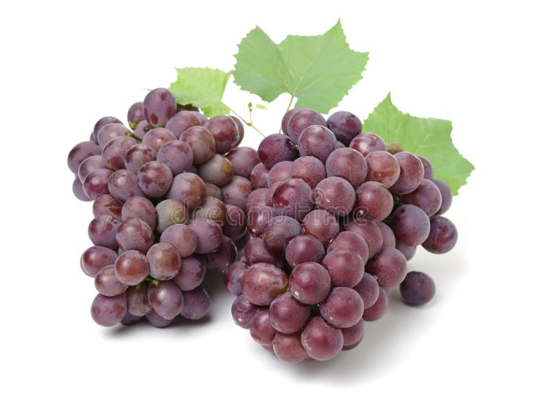 Grape with leaves stock photo. Image of close, grape - 136131976
