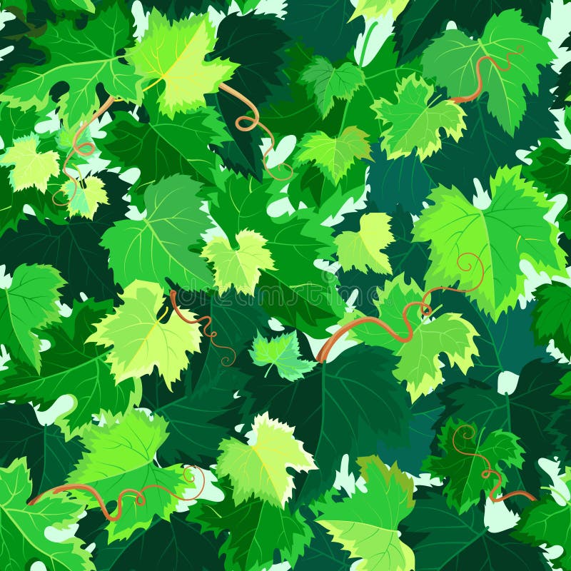 Grape Leaves Seamless Pattern Stock Vector - Illustration of continuous ...