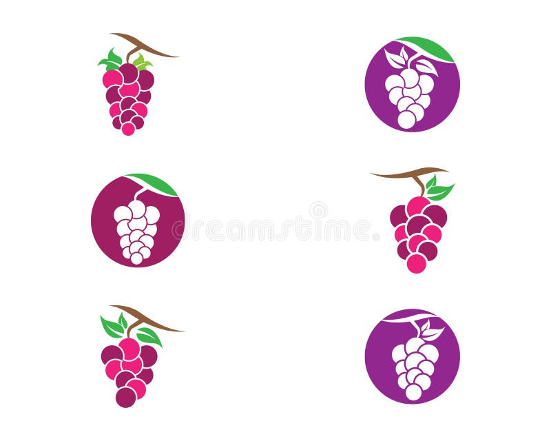 Grape symbol illustration stock vector. Illustration of bunch - 144258941