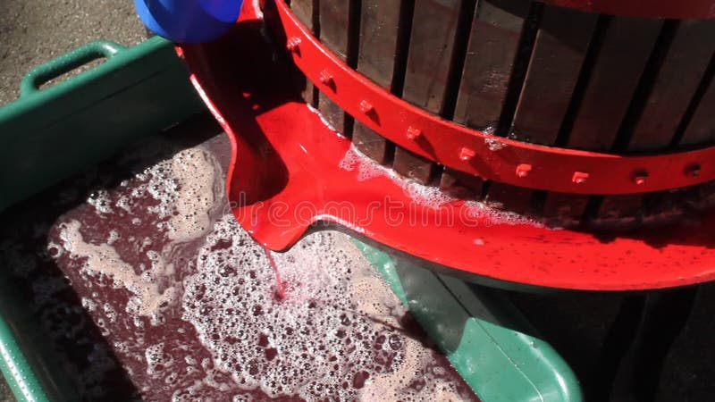 Grape must drain stock footage. Video of grapes, vineyard - 59409406