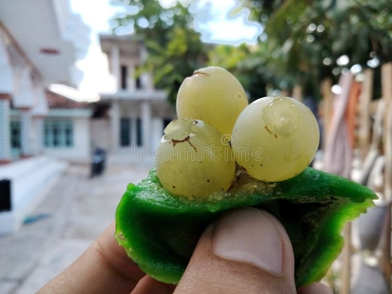 Grape nice fresh stock image. Image of grape, vegetable - 223506165