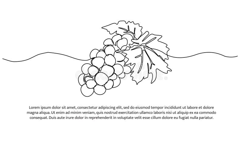 Grape One Continuous Line Design. Fruits Symbol Design Concept Stock ...
