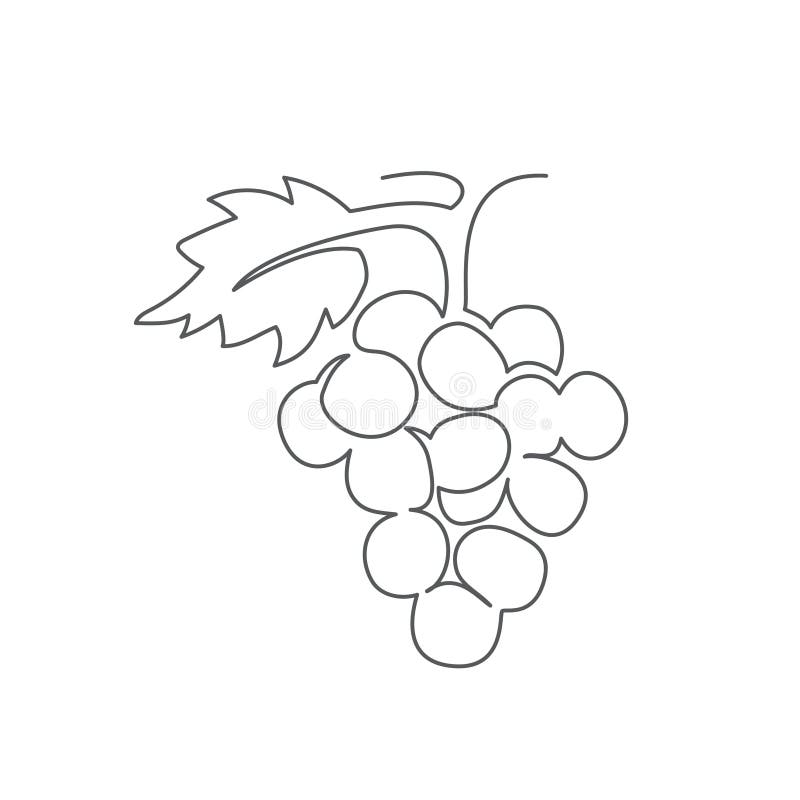 Continuous One Line Drawing Vine Stock Illustrations – 111 Continuous ...