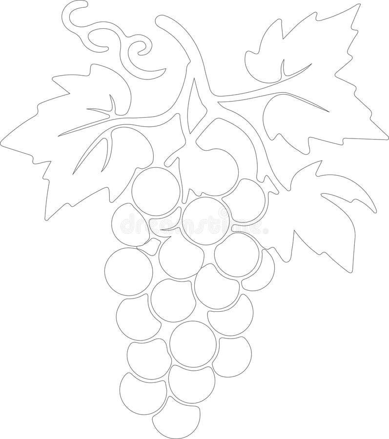 Grape Outline Silhouette Generative Ai Stock Illustration ...