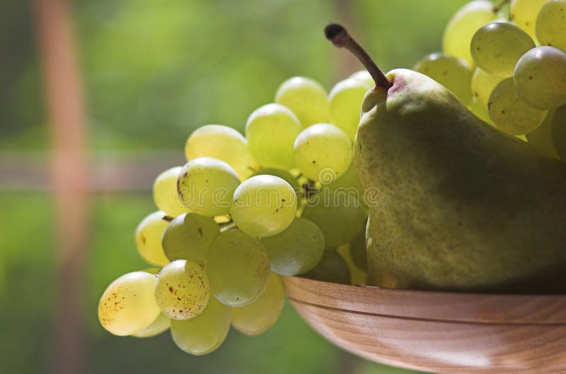 Grape and pear stock image. Image of fruit, still, meal - 4026919
