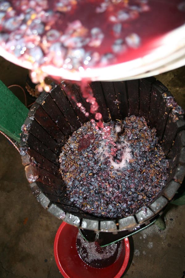 Grape pressing stock image. Image of squash, press, liquid - 3411833