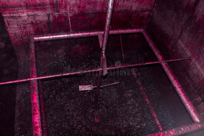 Grape processing stock photo. Image of natural, wine - 214325262