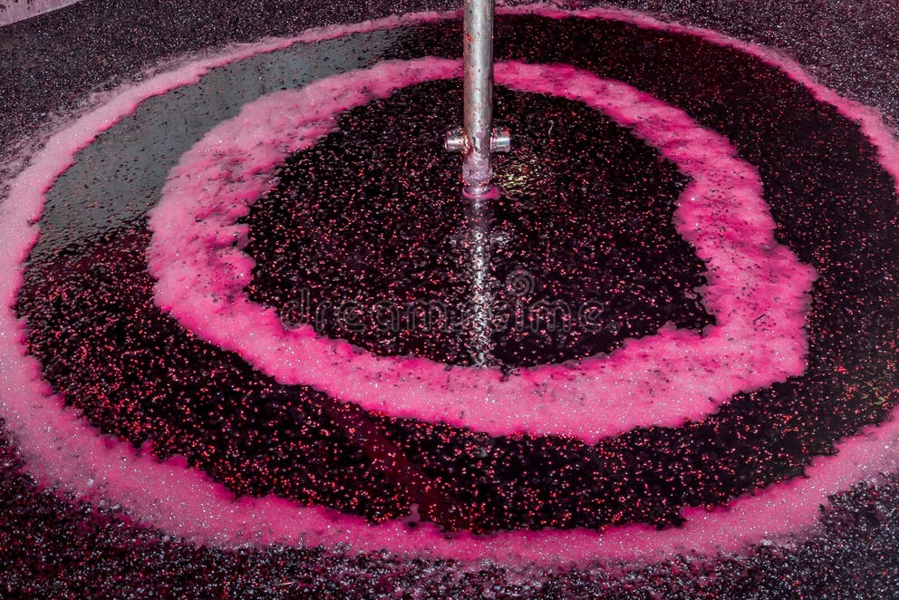 Grape processing stock photo. Image of fermenting, processing - 204229024