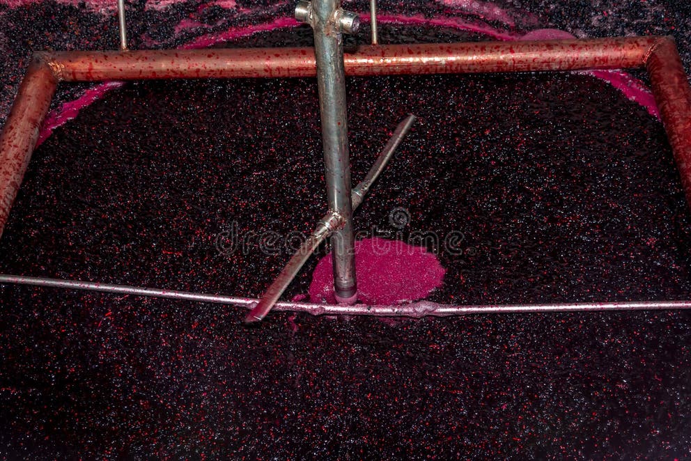 Grape processing stock image. Image of technology, juice - 212620735