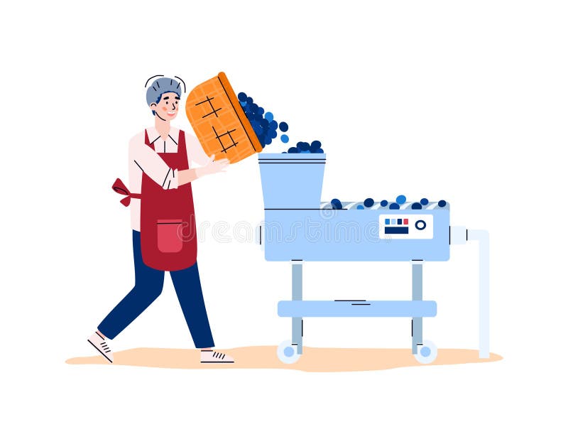 Grape Processing Plant or Winery Worker Flat Vector Illustration ...