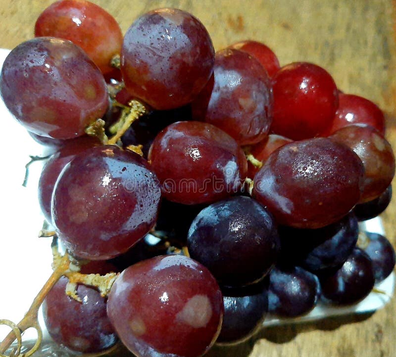 Grape stock photo. Image of nature, fruitsvegetables - 305039194