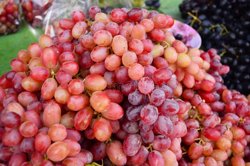 Grape stock image. Image of grape, fruit, dessert, market - 40295125