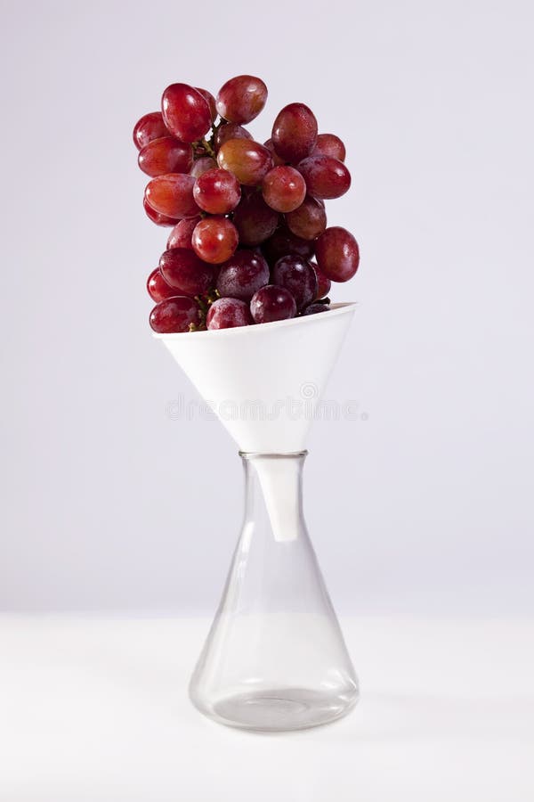 Grape Science stock image. Image of glass, beaker, grape - 32641183