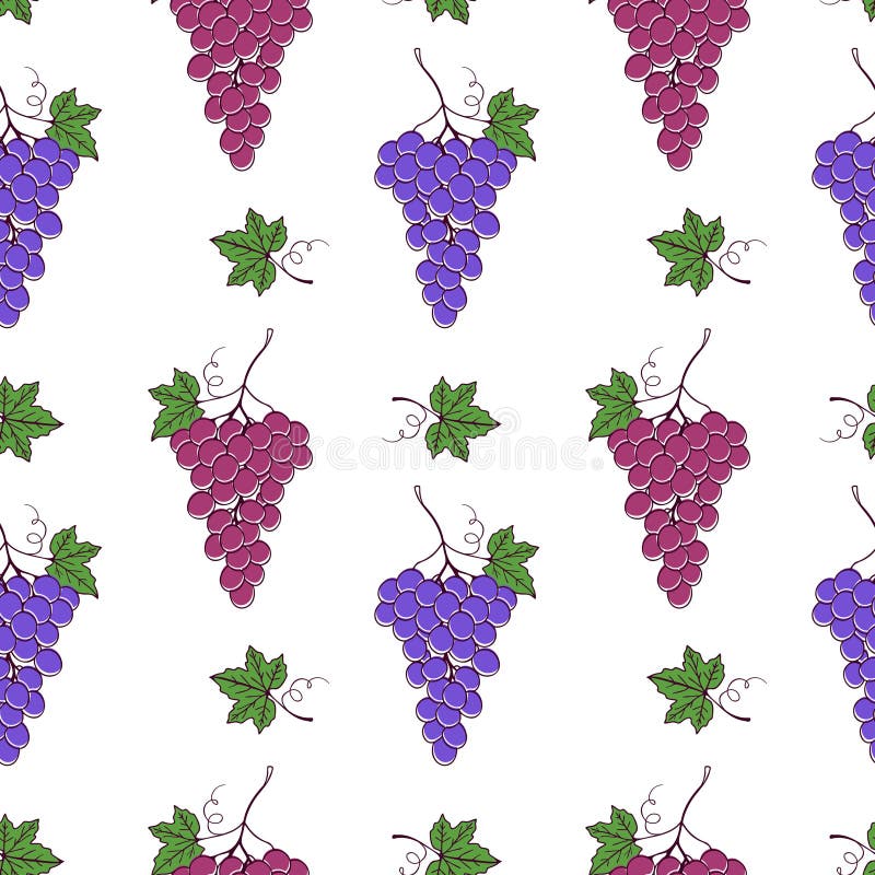 Grape Seamless Pattern on White Background, Contour Doodle Drawing of ...