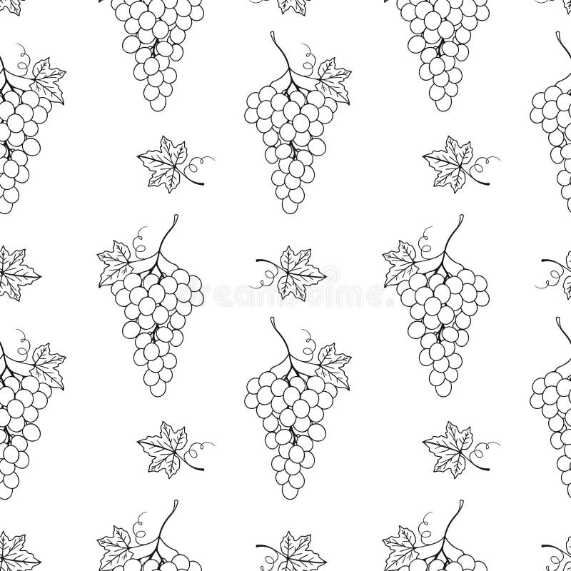 Grape Seamless Pattern on White Background, Contour Doodle Drawing of ...