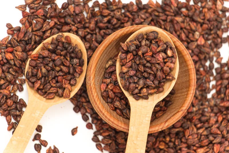 Grape seed stock image. Image of white, food, sweet, fruit - 66776959