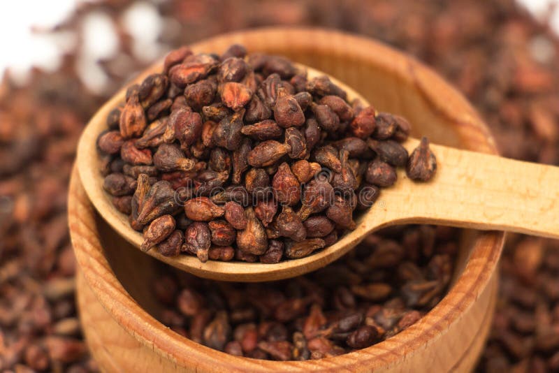 Red wine grape stock image. Image of flavor, nature - 101887245