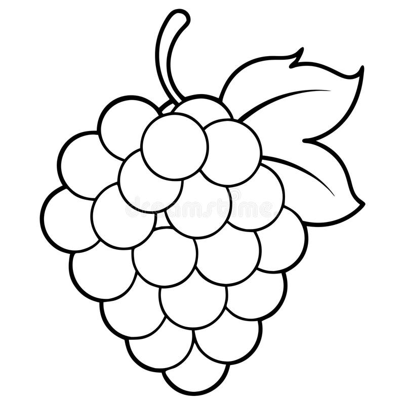 A Grape is Shown in a Black and White Drawing Stock Photo ...