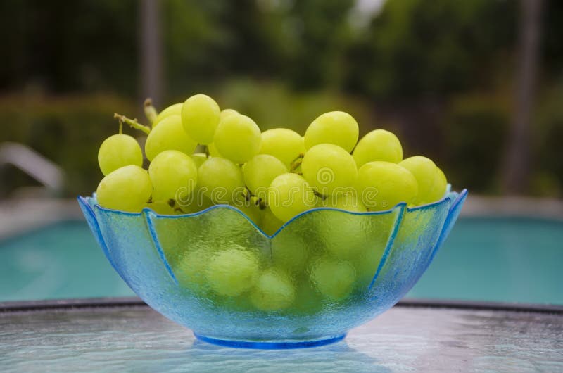 Grape by the swimmimg pool stock photo. Image of berry - 31473174