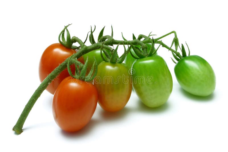 "Grape" Tomatoes stock photo. Image of food - 2308714
