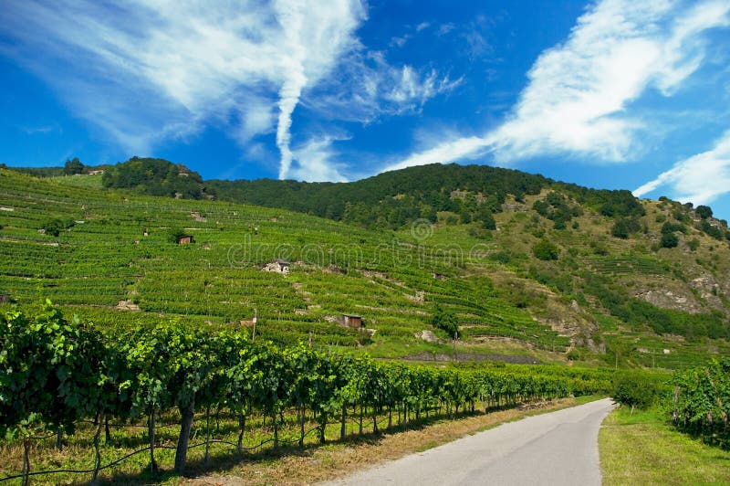 Success Picture. Image: 11004683