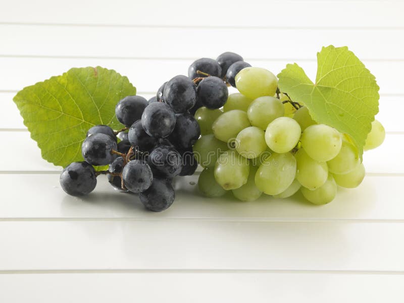 Grape stock photo. Image of studio, juicy, grape, green - 84068254